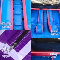 China Outdoor Commercial Double Lane Inflatable Water Slides With Pool for sale