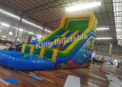 China Eye Catching Green Double Lane Inflatable Water Slide With Swimming Pool for sale
