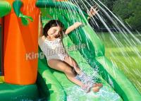 China Tropical Play Center Jump Castle / Inflatable Water Slide For Kids In Summer for sale