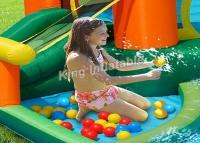 China Tropical Play Center Jump Castle / Inflatable Water Slide For Kids In Summer for sale