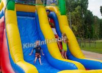 China Giant eye-catching 15' Backyard Inflatable Water Slide Wet or Dry with PVC Tarpaulin material for sale