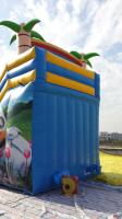 China Good price inflatable water slide bounce house inflatable water slide adult inflatable water slide adult for sale
