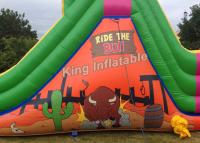 China Bull Theme Bright Color Inflatable Dry Slides With 25 Feet Long For Child And Adult for sale