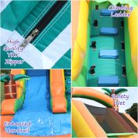 China Commercial Dry and Wet Water Slide Inflatable Tropical Fiesta Breeze Kids Inflatable Water Slide with Pool for sale