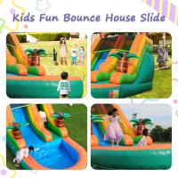 China Commercial Dry and Wet Water Slide Inflatable Tropical Fiesta Breeze Kids Inflatable Water Slide with Pool for sale