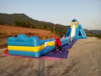 China Outdoor Commercial Giant Inflatable Slide, Inflatable Water Slide For Sale for sale