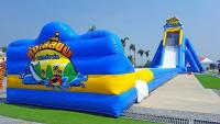 China Joyful Fun Factory Price Inflatable Long Water Slide for Adults Large Inflatable Slide for sale