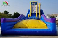China Commercial Party Rental Interesting Crazy Blue Inflatable Water Slide  for Kids and Adults for sale