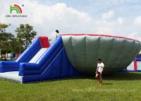 China Funny Big Bowl Bungee Run Inflatable Sports Games Commercial / Rental Grade for sale