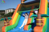 China 21x9x12FT Commercial  Grade PVC Bounce House Inflatable Water Slides Tropical Slide With Splash for sale