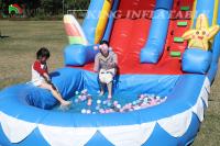 China Waterslide Commercial PVC Inflatable Water Slide For Kid Inflatable Slide With Pool Wet Dry Slide Adult for sale