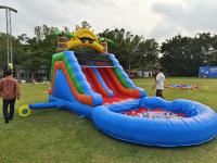 China Double Lane PVC Inflatable Water Slide Combo With Pool Obstacle Climb Inflatable Pool Slides for sale