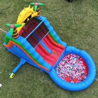 China Double Lane PVC Inflatable Water Slide Combo With Pool Obstacle Climb Inflatable Pool Slides for sale