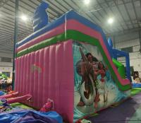 China Outdoor Commercial Grade PVC Large Inflatable Water Slide Bounce House Combo Bouncy Castle for sale
