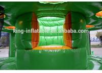 China Outdoor Inflatable Human Whack - A - Mole Game With Fully Digital Priting for sale