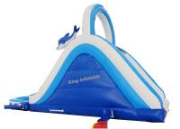 China Mini Inflatable Water Slide With Double And Quadruple Stitching Blue And White for sale