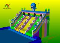 China Rainbow Slide Ocean Inflatable Water Parks For Adult And Kids 1 Years Warranty for sale
