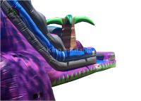 China Dual Lane 0.6mm PVC Inflatable Water Slide With Pool 30ft Purple For Summer for sale