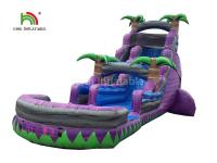China Dual Lane 0.6mm PVC Inflatable Water Slide With Pool 30ft Purple For Summer for sale