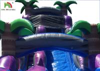 China Dual Lane 0.6mm PVC Inflatable Water Slide With Pool 30ft Purple For Summer for sale