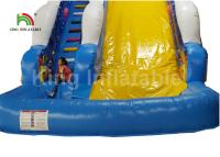 China Puncture - Proof Ocean World Dolphin Inflatable Water Slide / Outdoor Inflatable Playground for sale