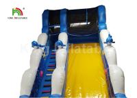 China Puncture - Proof Ocean World Dolphin Inflatable Water Slide / Outdoor Inflatable Playground for sale