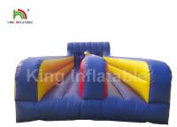 China 0.55mm PVC 2 Lanes Inflatable Bungee Run Race Sport Game With Digital Printing for sale