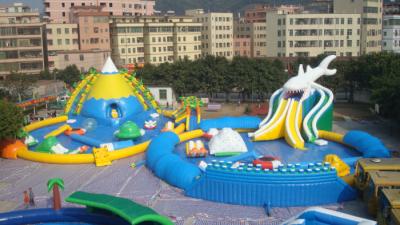 China Giant Adults / Kids Inflatable Water Slide Pool for Funny Amusement Games for sale