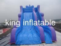 China Outdoor Durable Inflatable Dry Slide With Simple But General For Amusement Park for sale