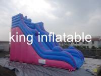 China Outdoor Durable Inflatable Dry Slide With Simple But General For Amusement Park for sale
