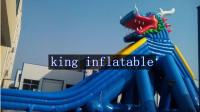 China Giant Dragon Inflatable Water Slide Beach Slide With Pool For Kids And Adults for sale