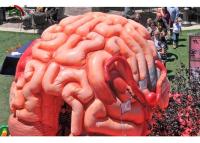 China Giant 4m  Inflatable Brain Replica Artificial Organs For Educational SGS EN71 for sale