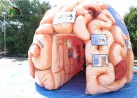 China Giant 4m  Inflatable Brain Replica Artificial Organs For Educational SGS EN71 for sale