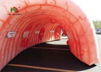China 6m Huge Inflatable Colons Heart Tunnel Commercial Bounce Houses Flame Retardant for sale