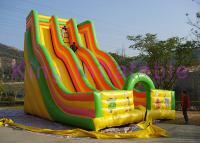 China Giant Double Lane Inflatable Dry Slide Colorful Cartoon Printing For Amusement Park for sale