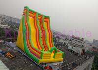 China Giant Double Lane Inflatable Dry Slide Colorful Cartoon Printing For Amusement Park for sale