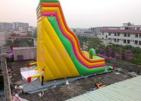 China Giant Double Lane Inflatable Dry Slide Colorful Cartoon Printing For Amusement Park for sale