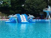 China Commercial 0.9mm PVC Tarpaulin Inflatable Big Air Slide Dolphin Toy For Water Park for sale