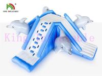 China Commercial 0.9mm PVC Tarpaulin Inflatable Big Air Slide Dolphin Toy For Water Park for sale