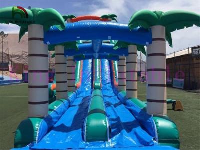 China Selva Double Lanes PVC Inflatable Water Slide Green / Blue Slide With Swimming Pool for sale