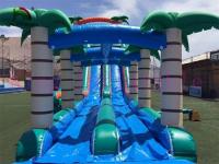 China Selva Double Lanes PVC Inflatable Water Slide Green / Blue Slide With Swimming Pool for sale