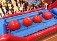 China Lead Free Red Or Blue  Inflatable Sports Games / Blow Up Obstacle Course And Slide for sale