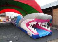 China Shark PVC Inflatable Water Slide , Custom Amazing Thrilling Mini City Slide for sale