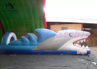 China Shark PVC Inflatable Water Slide , Custom Amazing Thrilling Mini City Slide for sale