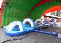 China Shark PVC Inflatable Water Slide , Custom Amazing Thrilling Mini City Slide for sale