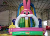 China Blue Cat Outdoor PVC Tarpaulin Dry Slide Inflatable Garden Dry Slides For Parties for sale