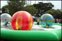 China Mixed-color 2m Diameter Customized PVC Wak On Water Ball For Water Park for sale