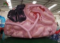 China Customized Size Inflatable Event Tent Simulation Brain Model For Medical Show for sale