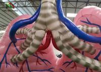 China Flesh - Colored Blow Up Simulation Lung Model Organ Show Tent For Medical Study for sale