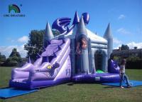 China Purple / Grey Inflatable Jumping Castle With Dragon Slide Roofed Playground for sale